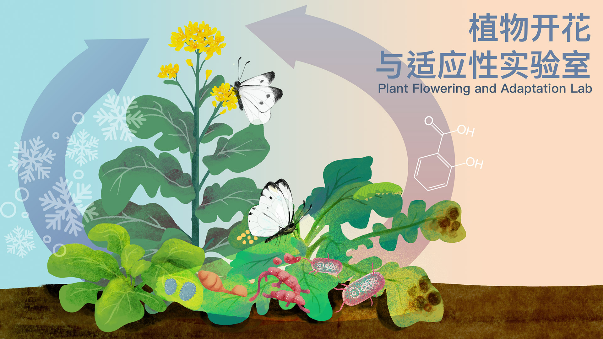 Lab Home | Plant Flowering and Adaptation Laboratory - Pan Zhu, Ph.D.