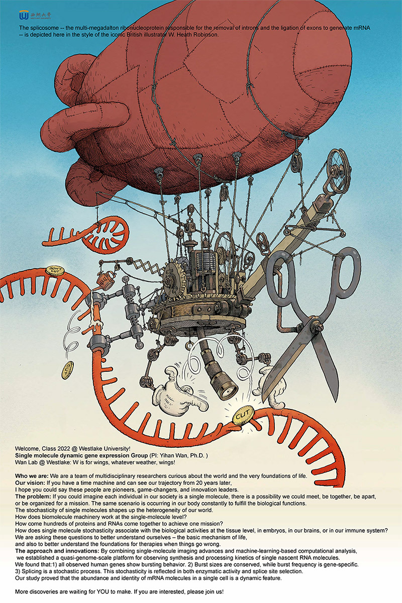 Gallery | Single Molecule Dynamic Gene Expression Laboratory - Yihan ...