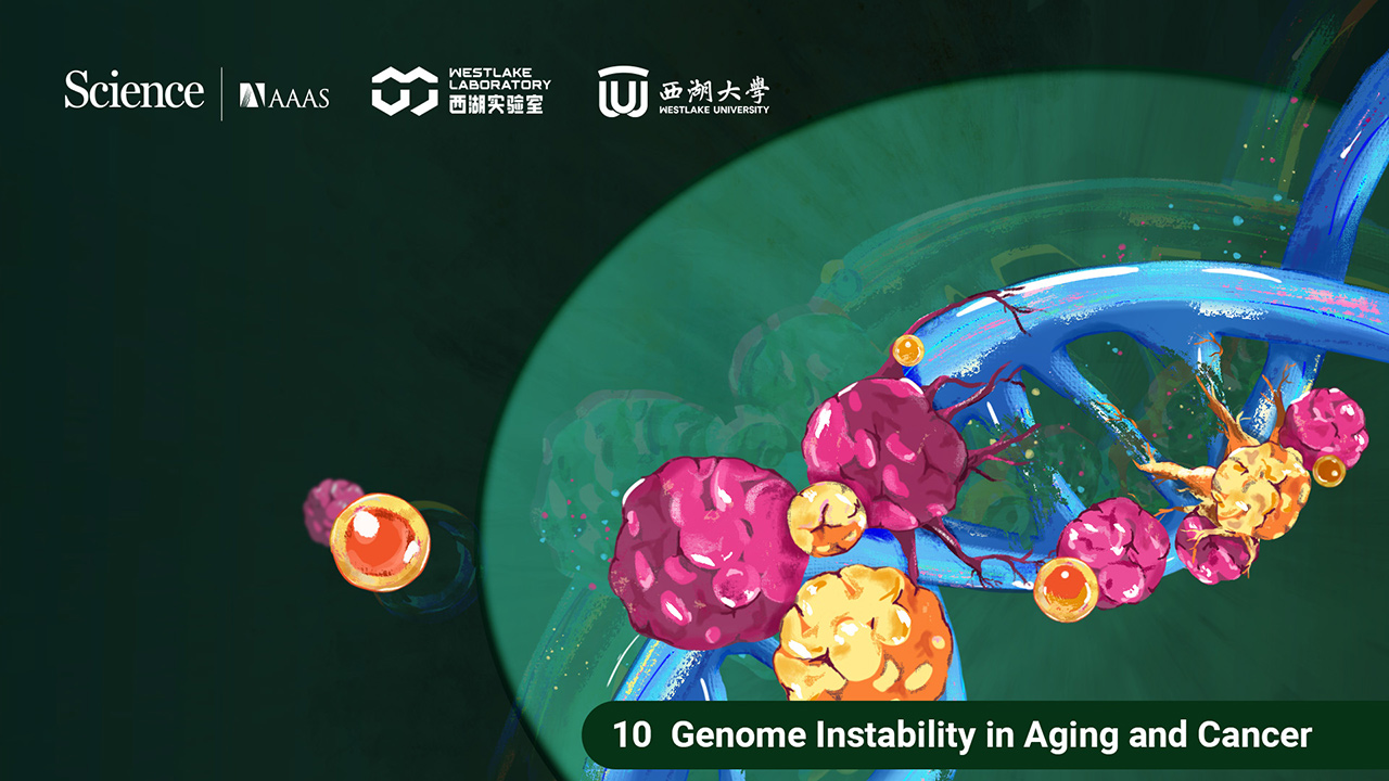 Genome Instability in Aging and Cancer - Westlake x Science/AAAS Joint ...